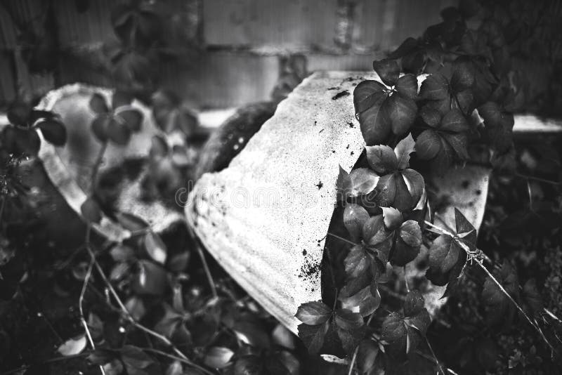 Broken flower pot. stock image. Image of ornamental, outdoors - 80440367