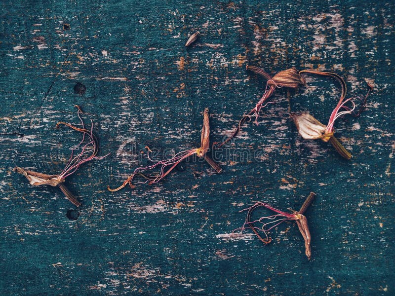 Broken Flowers on the Table Stock Image - Image of flowers, blue: 261923815