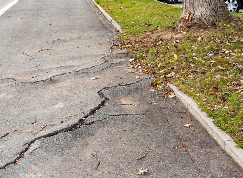 Broken Footpath through a Tree Root Stock Image - Image of sidewalk ...