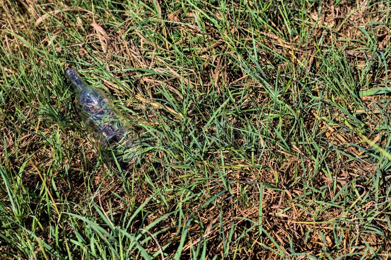 Broken Glass Bottle Left on the Grass Stock Photo - Image of bottle ...