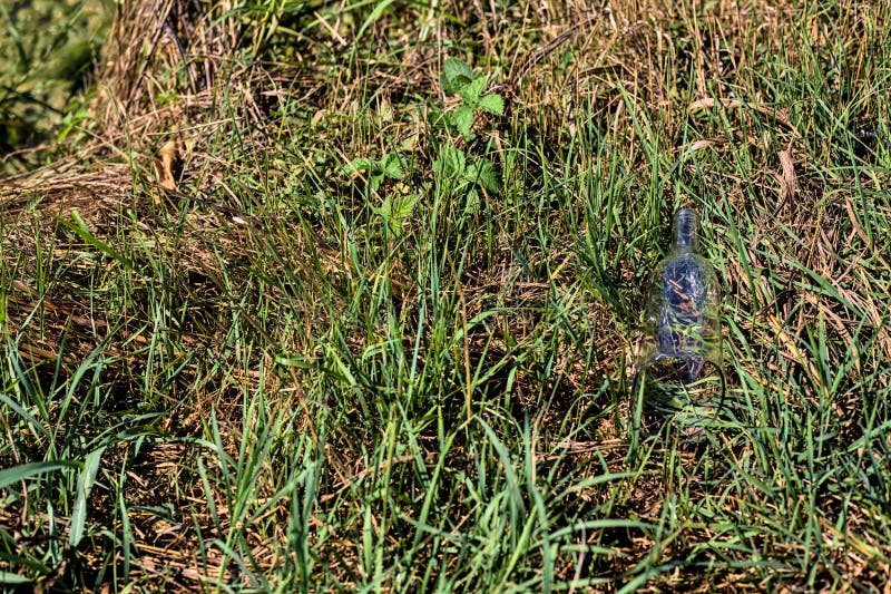 Broken Glass Bottle Left on the Grass Stock Image - Image of ...