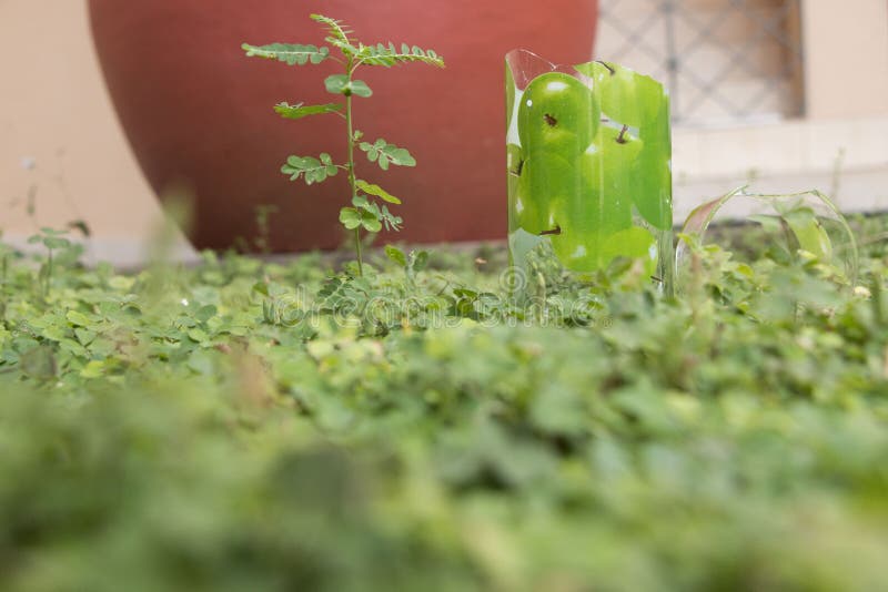 Broken glass stock photo. Image of glass, green, broken - 91113374