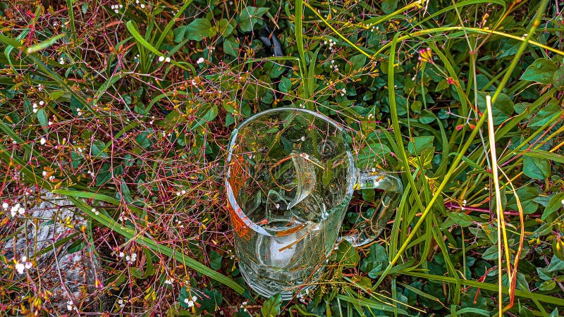 A Broken Glass Was Abandoned on the Wild Grass Stock Photo - Image of ...