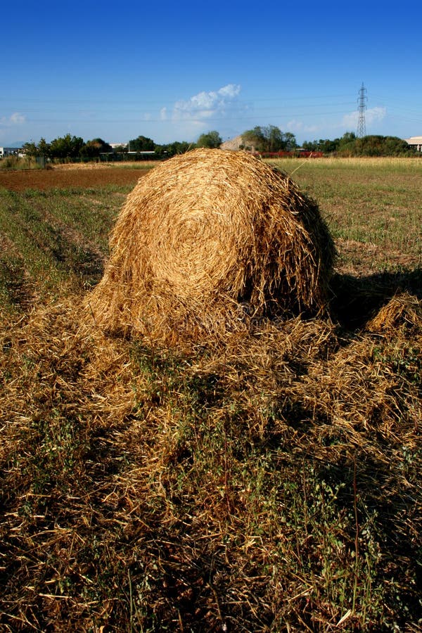 Broken Hay Bale on the Field Stock Image - Image of feedstuff, evening ...