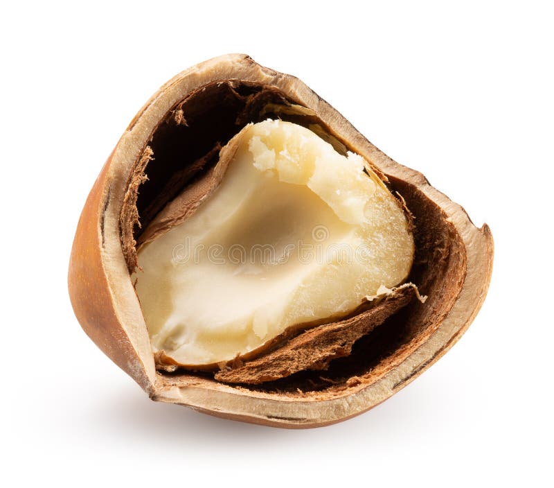 Broken Hazelnut Shells stock image. Image of edible, snack - 3103275
