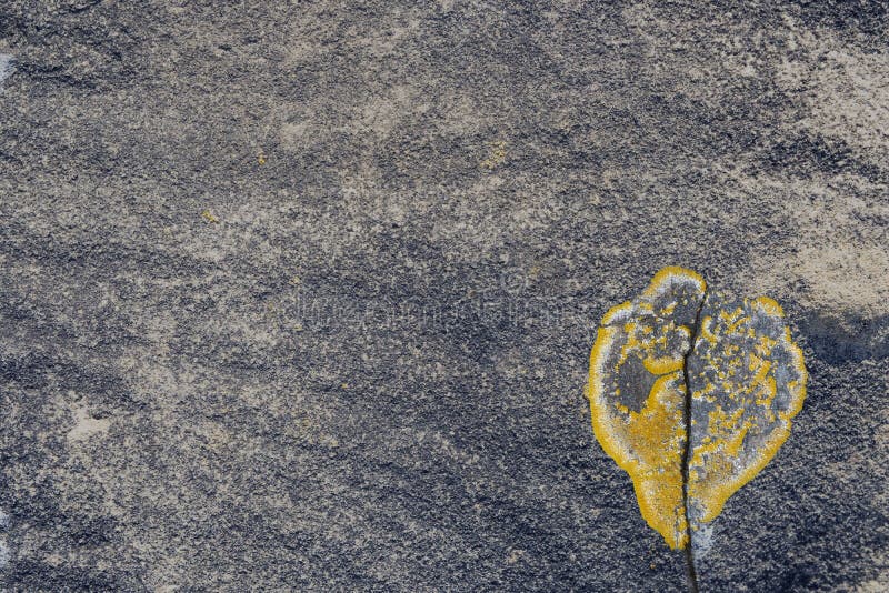 Broken Heart Formed by a Lichen on a Rock Stock Image - Image of grey ...