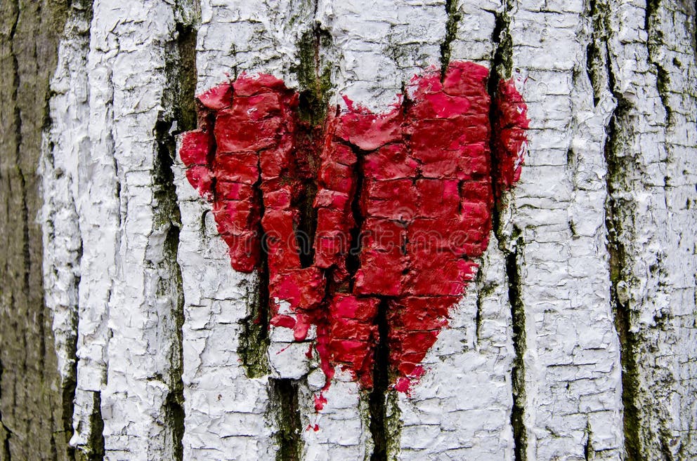 Broken heart stock image. Image of growth, artwork, plant - 30135901