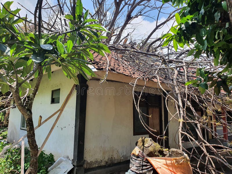 Broken Home House Break by the Tree Stock Photo - Image of village ...