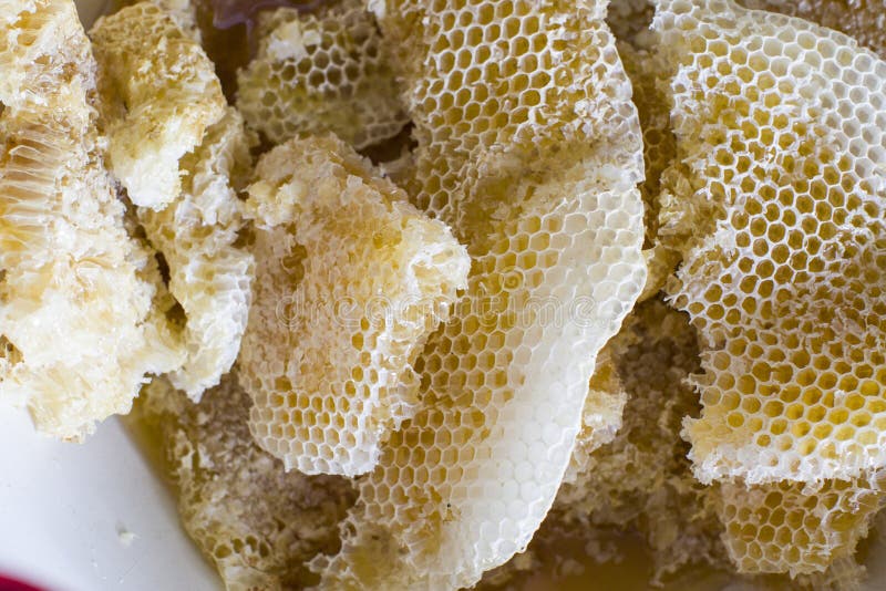 A Broken Beehive is Lying on the Ground. it`s Have Hole. Stock Image ...