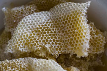 179 Broken Beehive Stock Photos - Free & Royalty-Free Stock Photos from ...