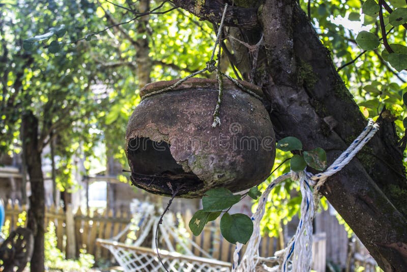 Broken Jug hanging on tree stock image. Image of ruins - 77503973