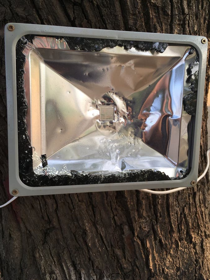View of Broken Lamp on Tree Stock Image - Image of friendly, disdain ...
