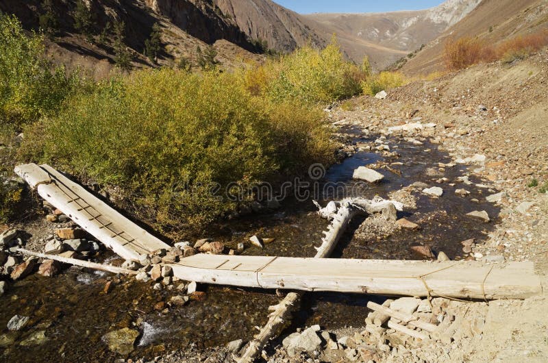 Broken Log Bridge stock photo. Image of wood, destroyed - 27224542