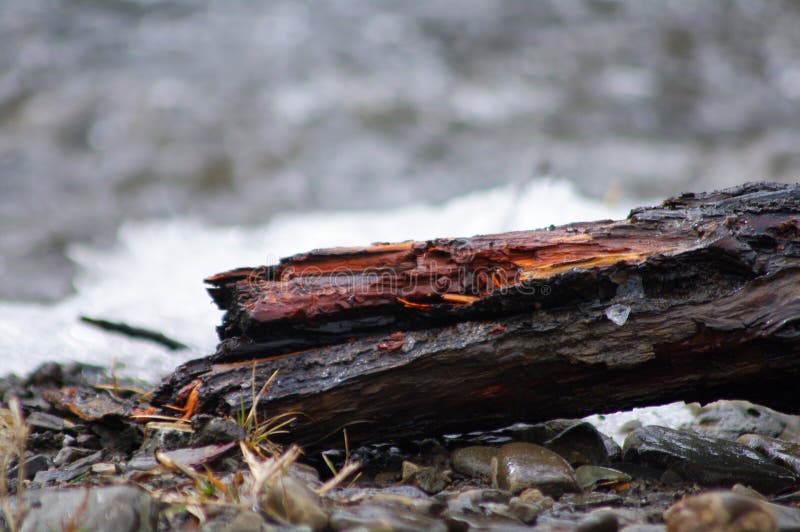 Broken log by stream stock image. Image of brown, stone - 97202897