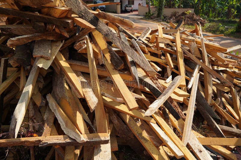 Broken Long Chunks of Tree Trunk. Close Up Broken Pieces of Wood. Pine ...