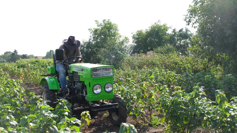 Broken Mini-tractor in the Field, the Worker Can Not Drive. the Concept ...