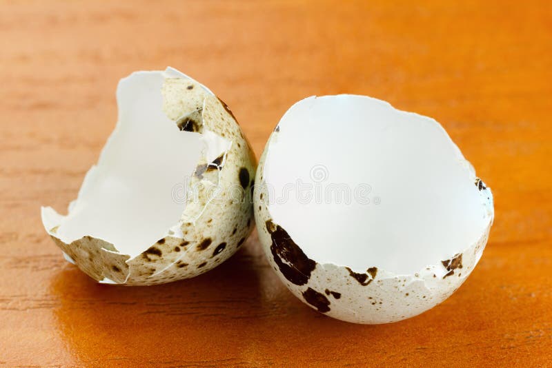Broken Mottled Egg on a Wooden Surface Stock Image - Image of natural ...