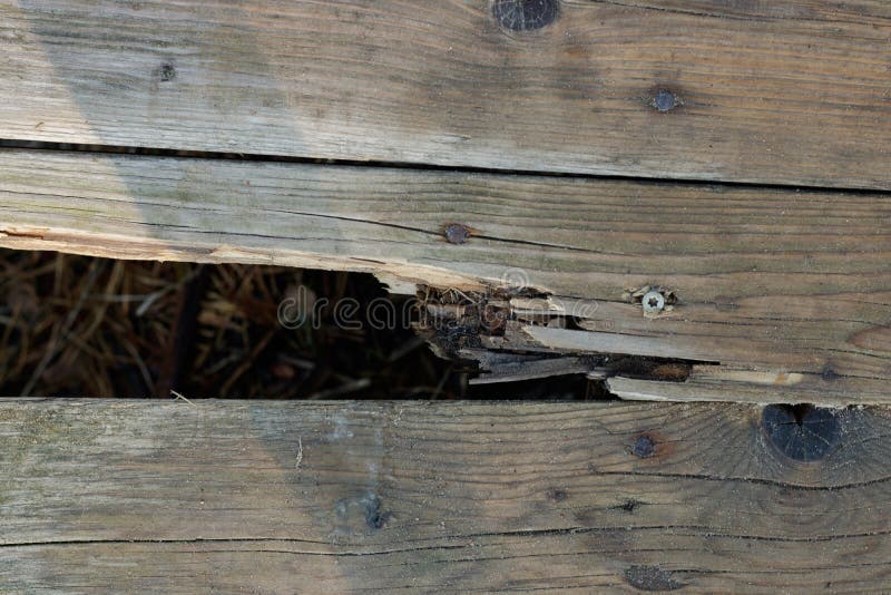 Broken, Broken Old Wooden Boards with Nails Stock Image - Image of ... Broken, Broken Old Wooden Boards with Nails Stock Image - Image of ...
