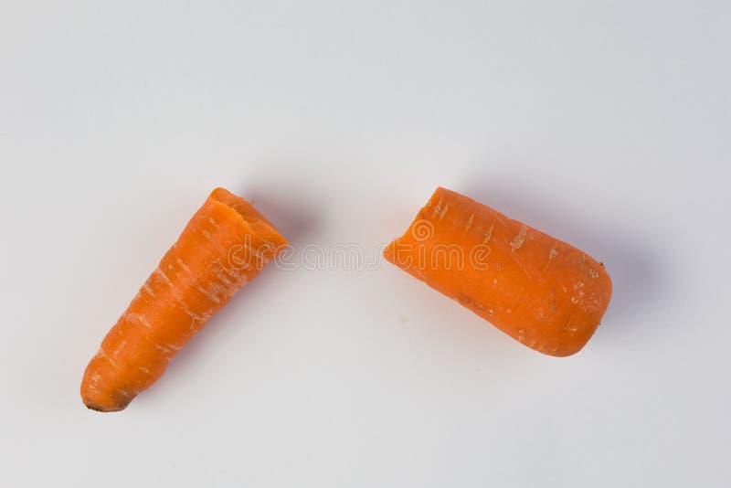 Damage To Carrots Caused by the Larva of the Carrot Fly. Protect the ...