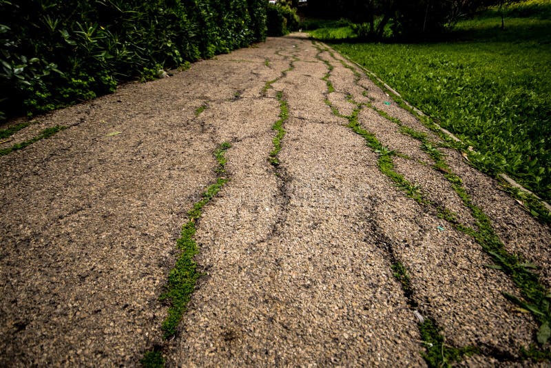 Broken Path Sign on Foggy Morning in Heathland Stock Image - Image of ...