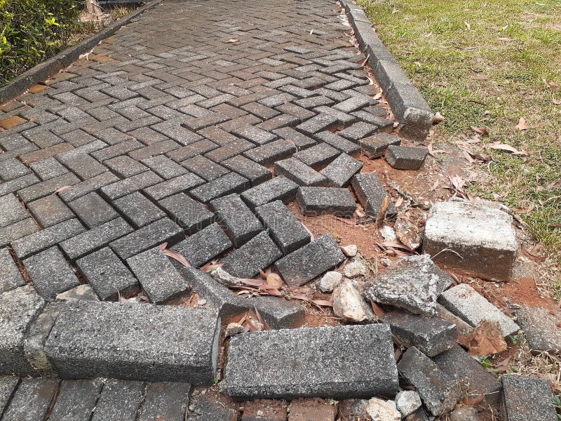 Stumble Street Stock Photos - Free & Royalty-Free Stock Photos from ...