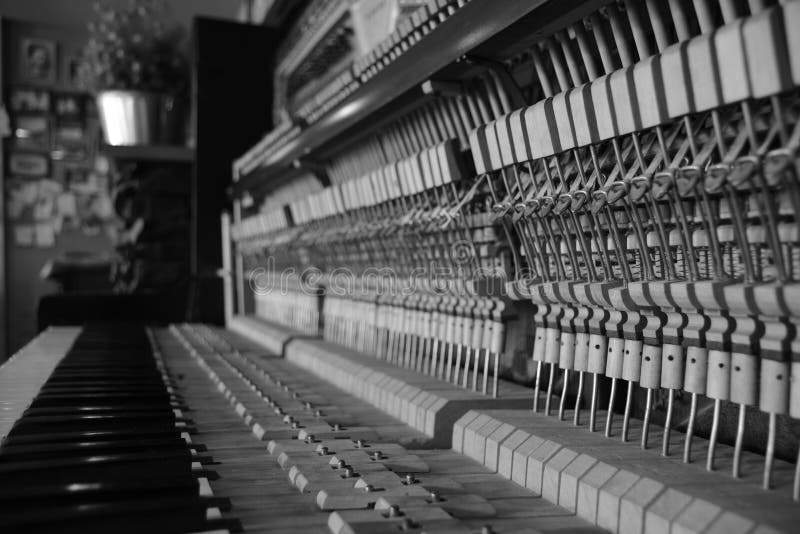 1,262 Broken Instruments Stock Photos - Free & Royalty-Free Stock ...