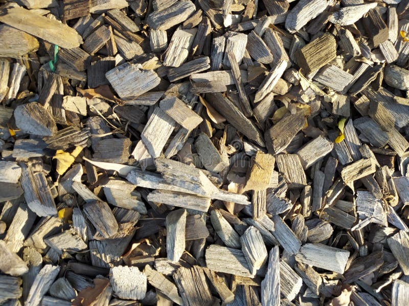 Broken pieces of wood. stock photo. Image of trunk, iron - 268074604