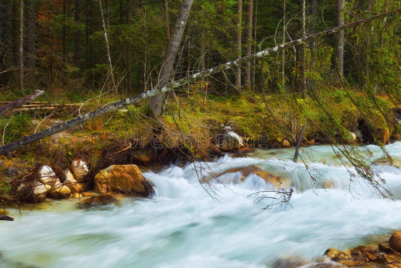 585 Fallen Tree Rapids Stock Photos - Free & Royalty-Free Stock Photos ...