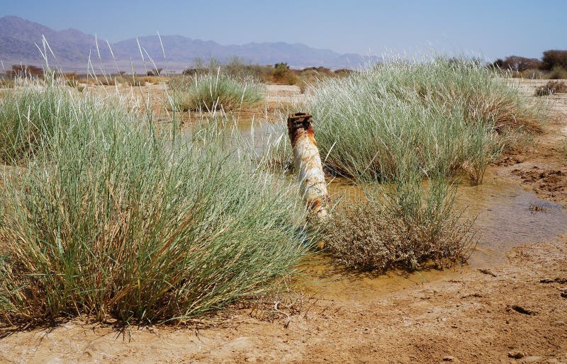 Broken Pipe of Clear Water and Puddle in the Desert Stock Image - Image ...
