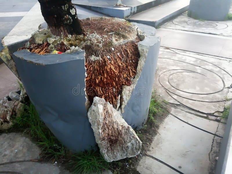 Broken Plant Pot in the Garden. Stock Image - Image of material, roots ...
