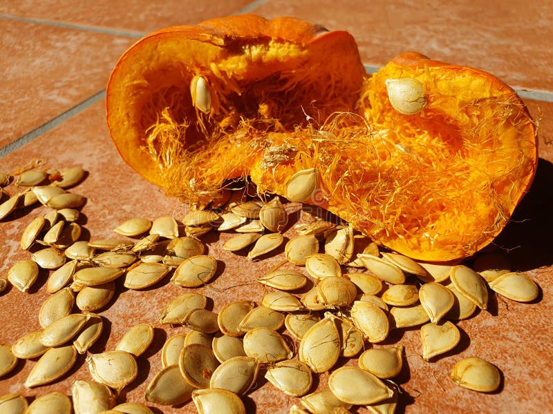 Broken Pumpkin in Half with Scattered Seeds on the Stone Surface Stock ...
