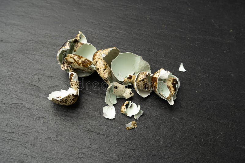 Broken Quail Egg Shell, Crushed Quail Eggshell, Calcium Supplement ...