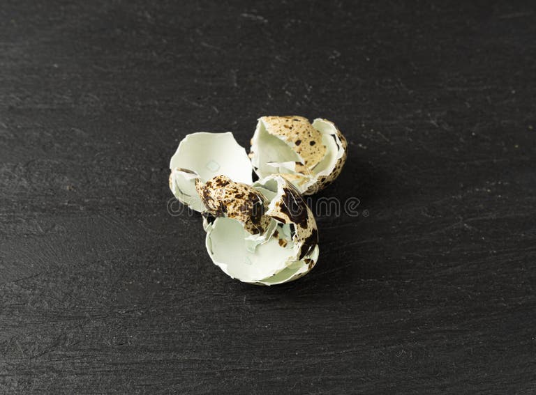 Broken Quail Egg Shell, Crushed Quail Eggshell, Calcium Supplement ...