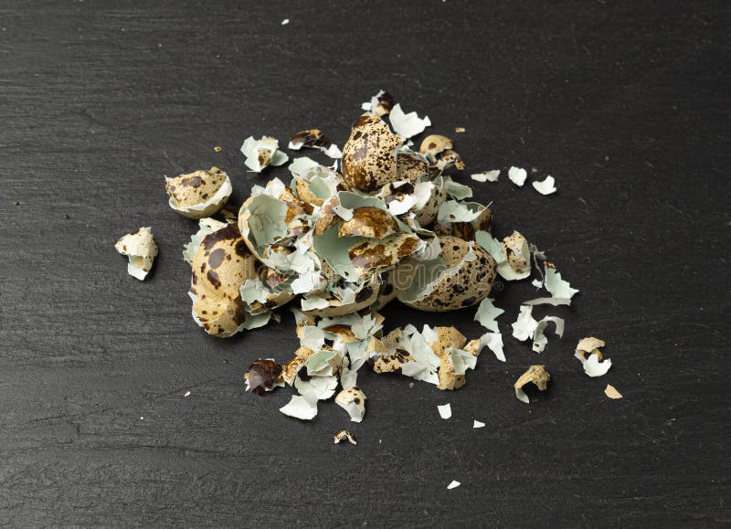Broken Quail Egg Shell, Crushed Quail Eggshell, Calcium Supplement ...