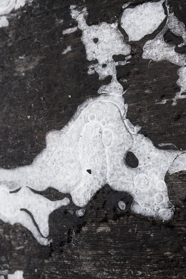 Broken and Refrozen Ice on Water in Top View Stock Photo - Image of ...