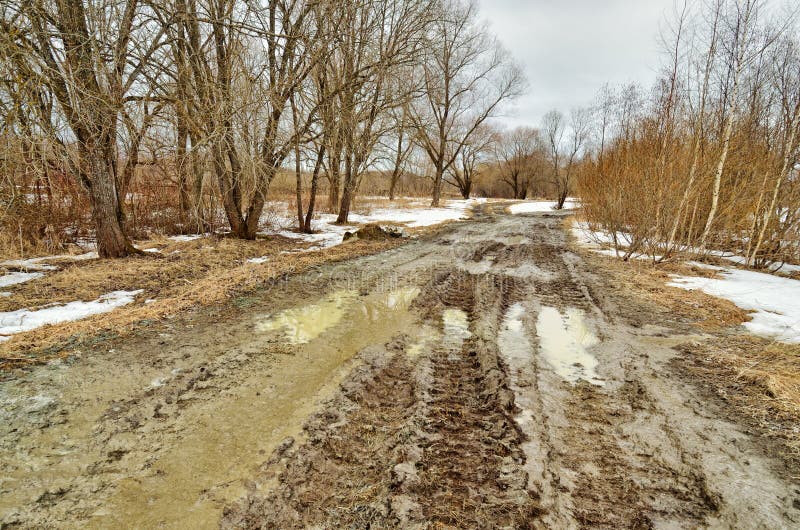 Broken Road in the Woods.the Road Goes Transport, Stirring Mud Stock ...