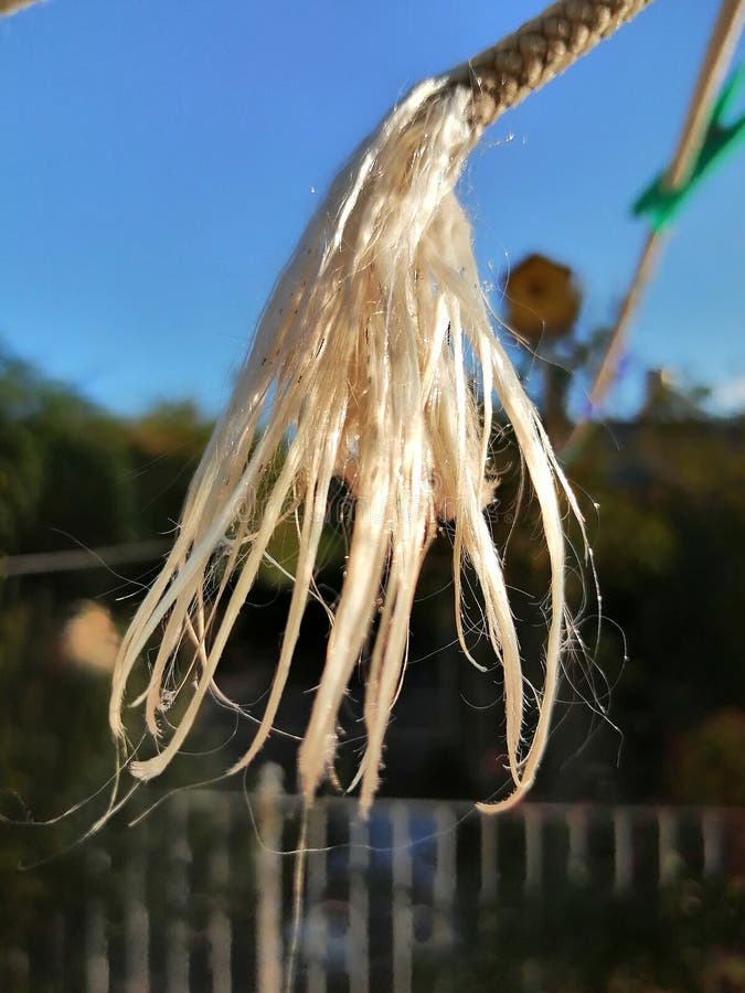 Broken Rope Stands with Tome Deterioration Marks Being Hit by Sun Light ...