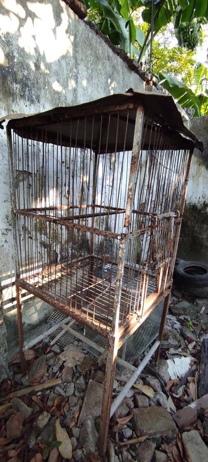 A Broken and Rusty Bird Cage Stock Photo - Image of garbage, background ...