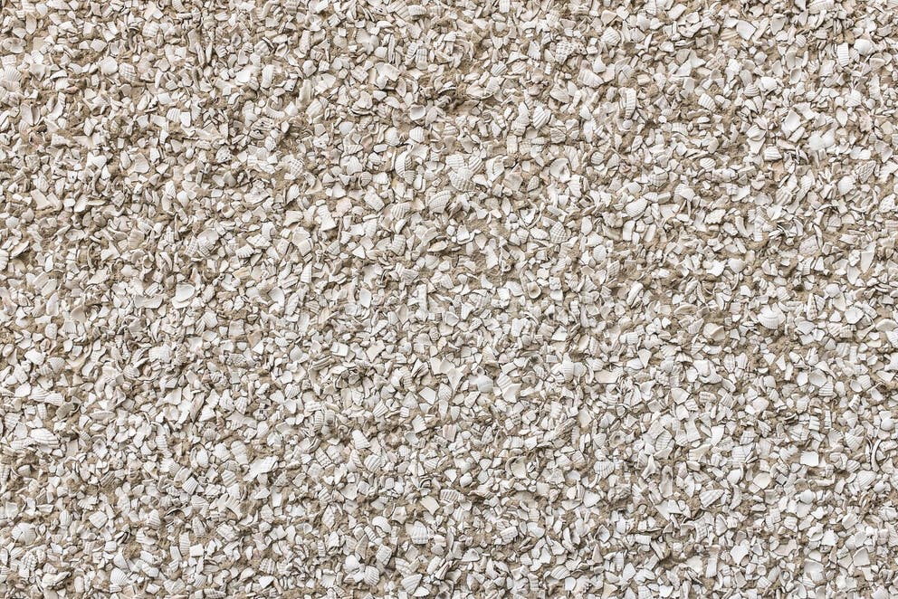 Broken Sea Shell Dash in Cement Render on Wall Stock Image - Image of ...