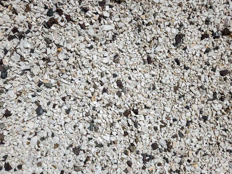 Crushed Shell Sidewalk stock photo. Image of sand, ocean - 29940582