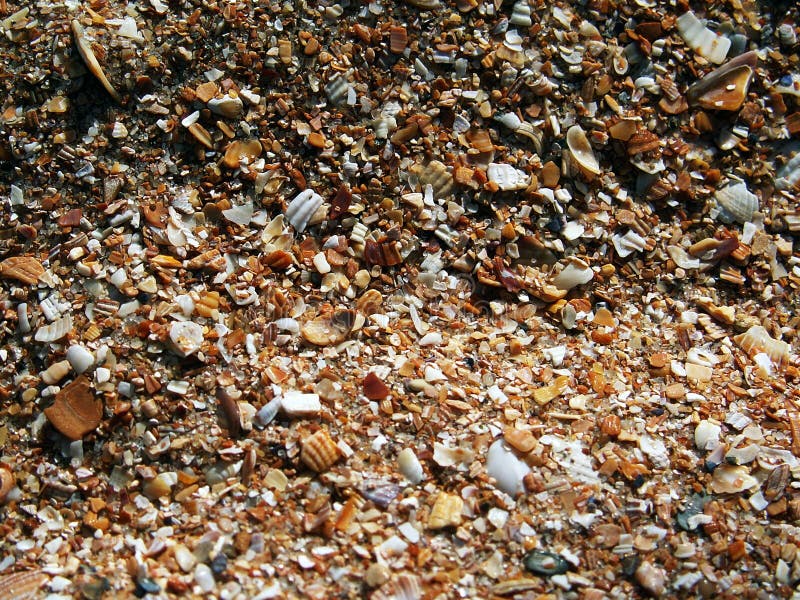 Broken Seashells Texture stock image. Image of shells - 4653543