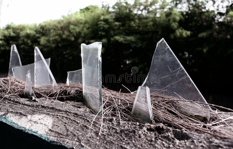Broken Glass Decoration on Top of Fence Wall for Security Stock Photo ...