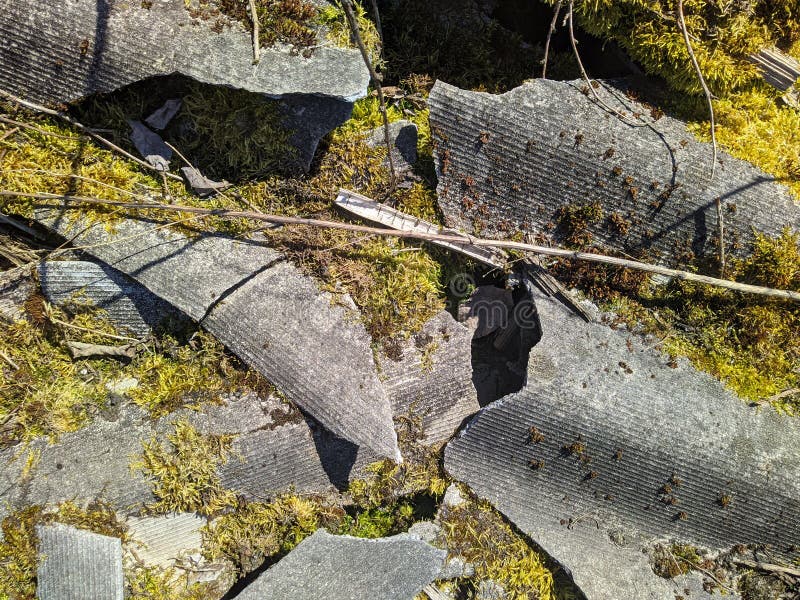 Broken Sheets of Old Slate with Moss Stock Image - Image of flooring ...