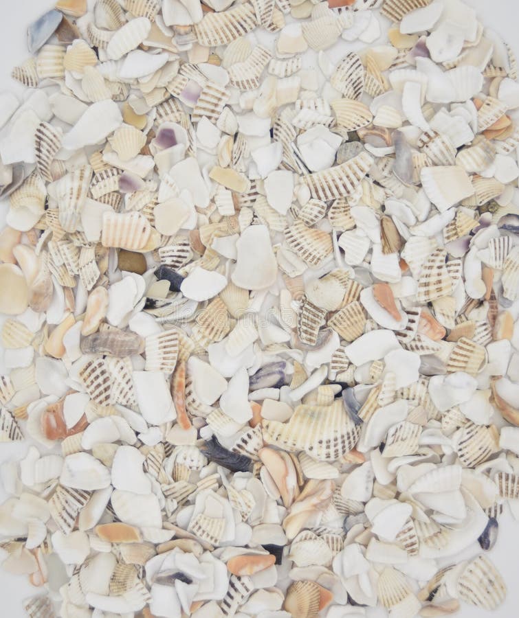 Broken Shells and Pebbles Background Stock Photo - Image of ocean ...
