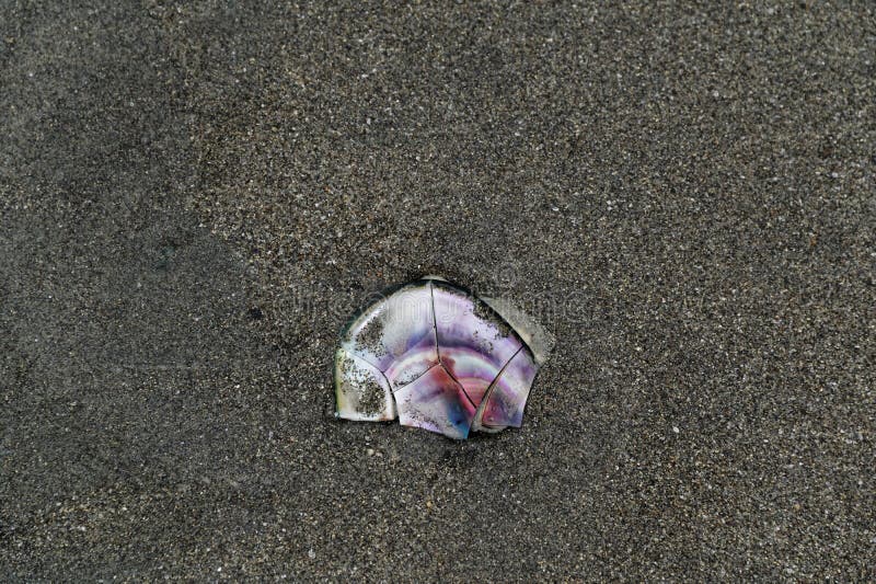 Broken Shell Fragment in the Sand Stock Image - Image of outdoor ...