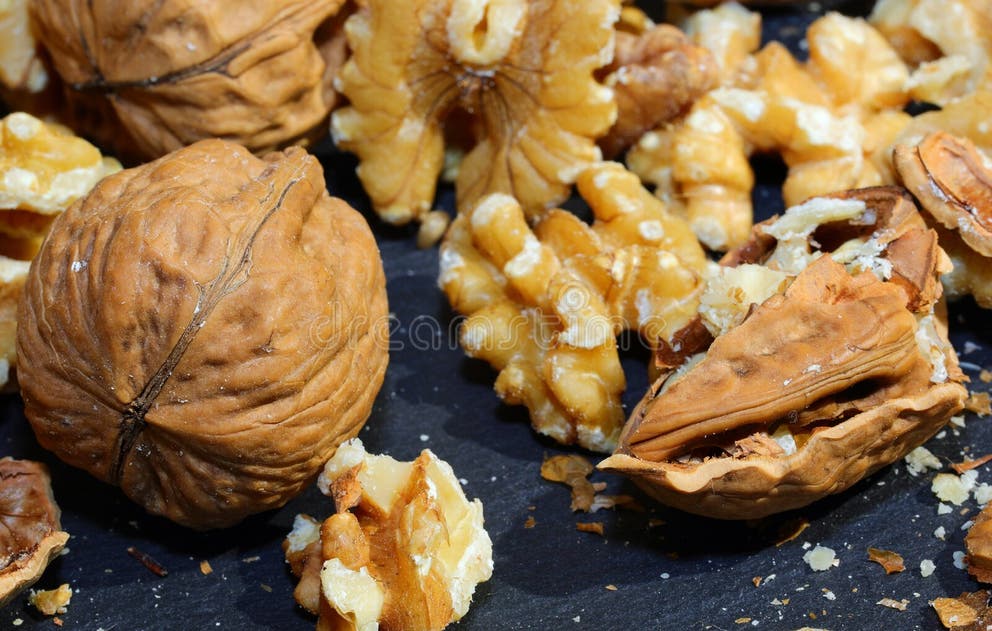 Broken Shells of Walnuts with the Edible Kernel Stock Image - Image of ...