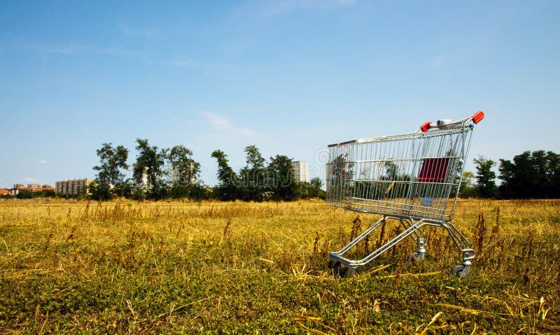 Broken Shopping Cart in the Nature Stock Photo - Image of frontal, mart ...