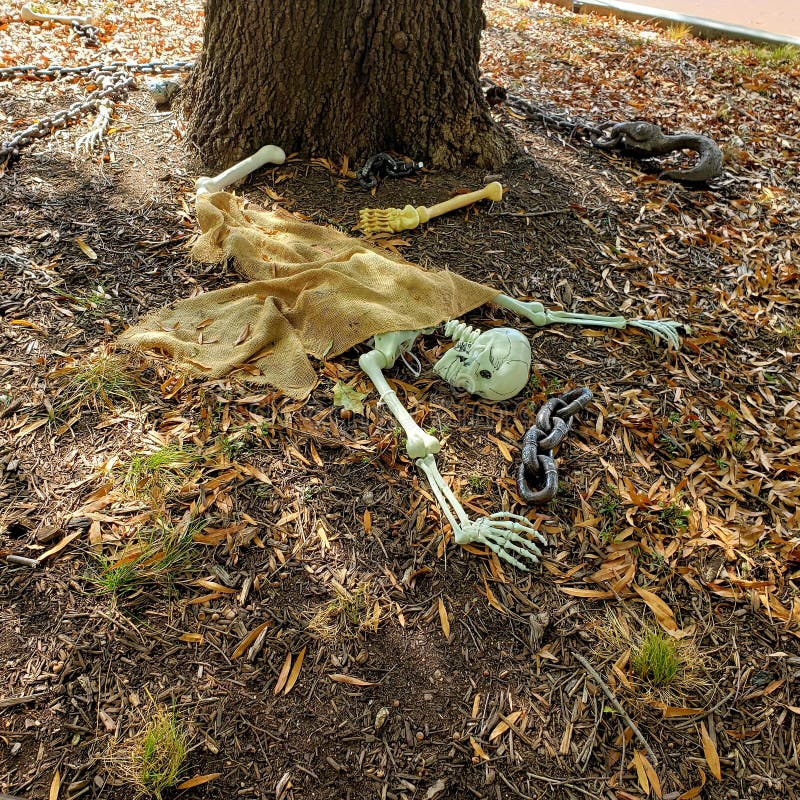 Broken Skeleton Couldn& X27;t Escape Stock Photo - Image of broken ...