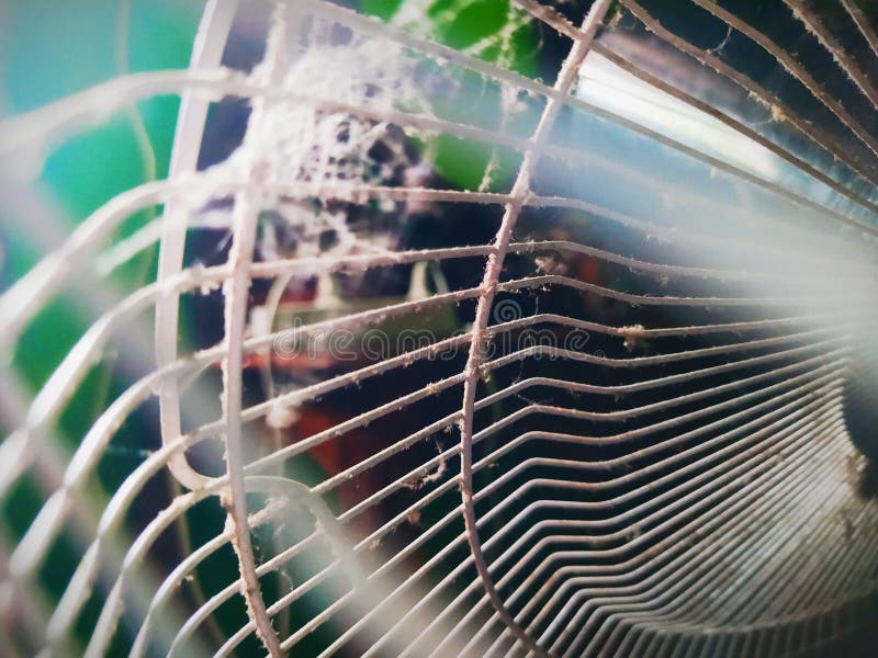 152 Broken Spider Home Stock Photos - Free & Royalty-Free Stock Photos ...