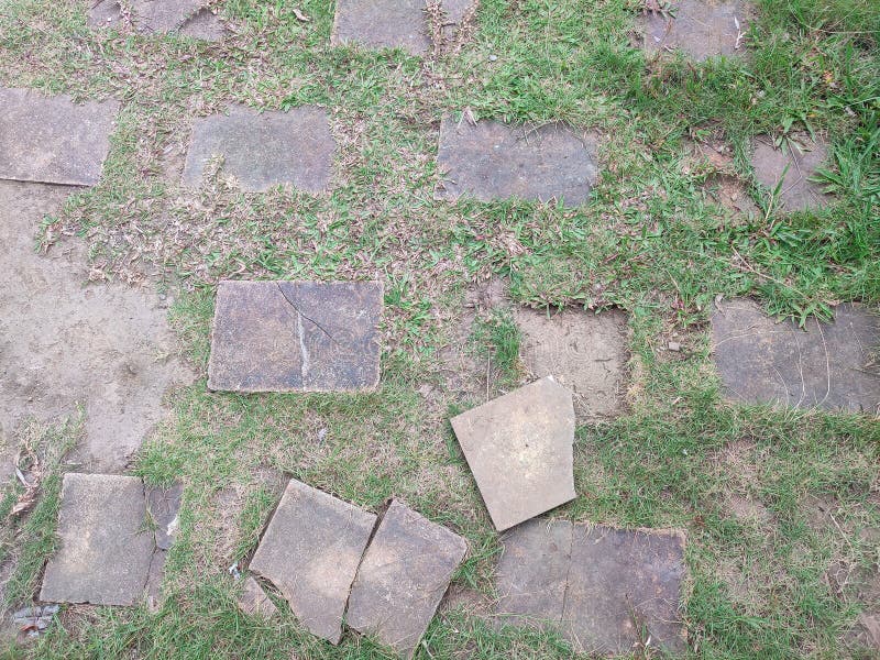 Broken Stone Pathway with Grass Growing between the Cracks. Stock Image ...